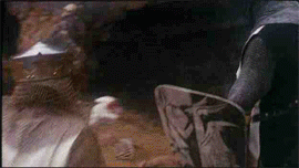 Flying Rabbit... - Cryptozoology, Myths and Legends - Unexplained ...